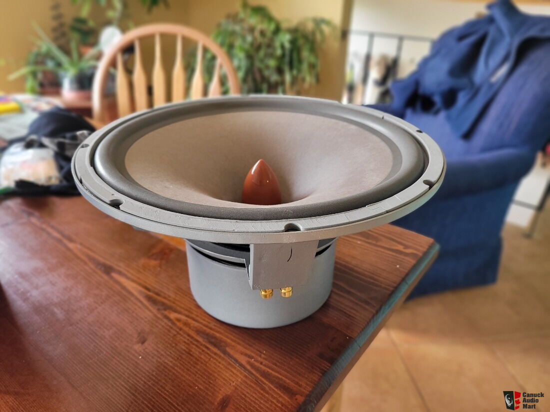 Lii Audio W15 subwoofer Photo #4570218 - Canuck Audio Mart