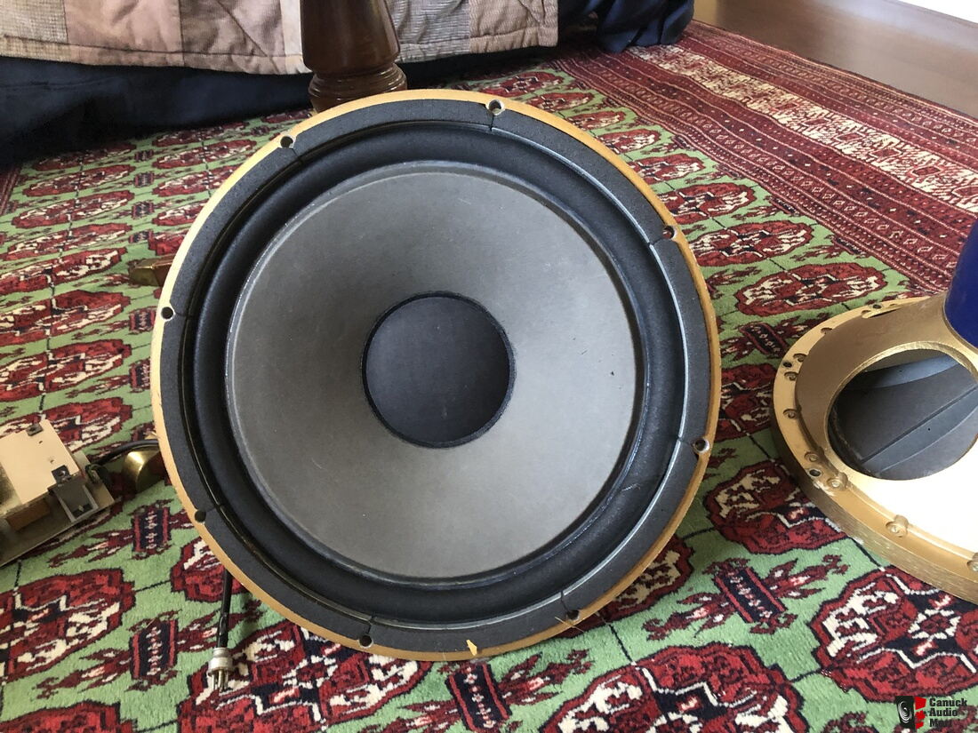 Royal Blue Tannoy 15" drivers, crossovers and cabinets Photo #4579341 ...