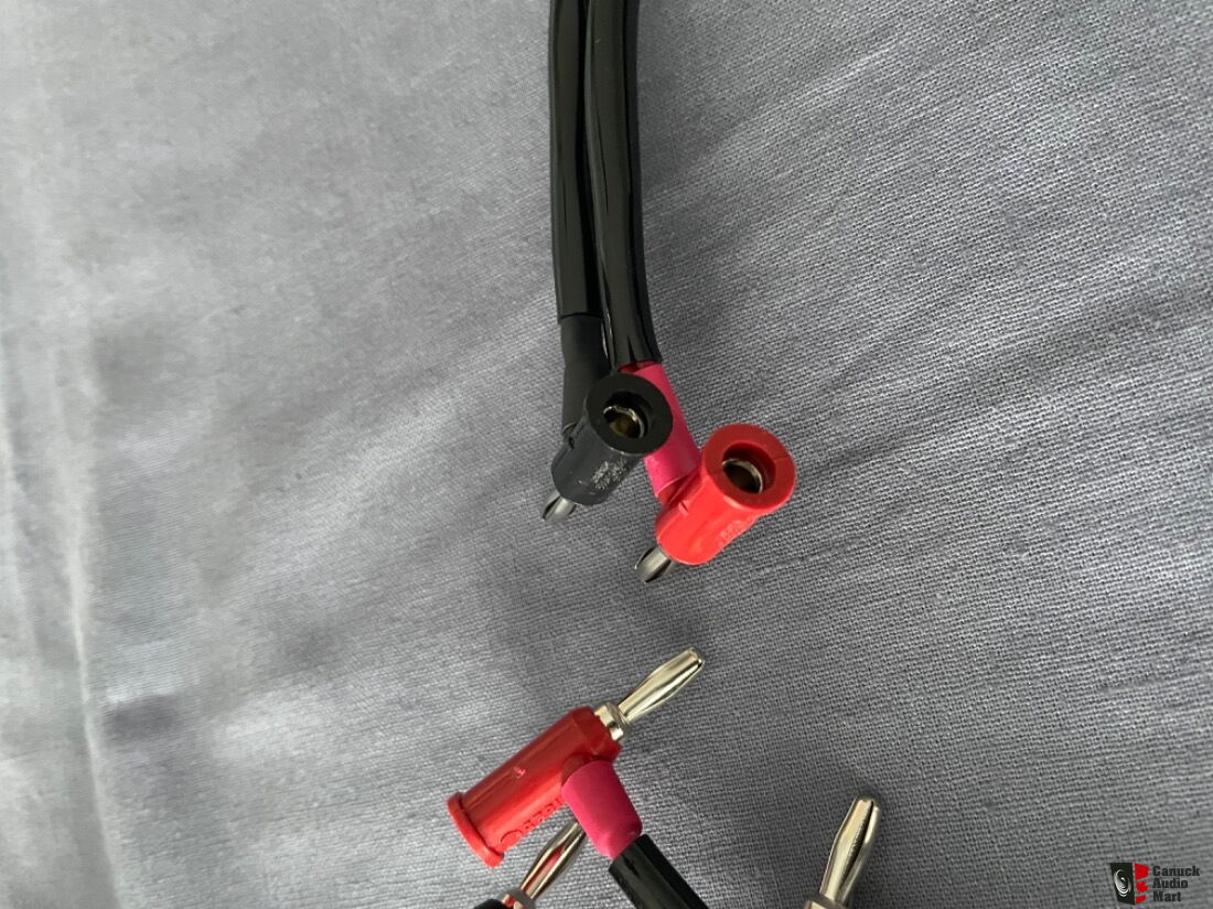 Audioquest Rocket 11 Bi-Wire or Full-Range Banana 9 Feet Pairs (New ...