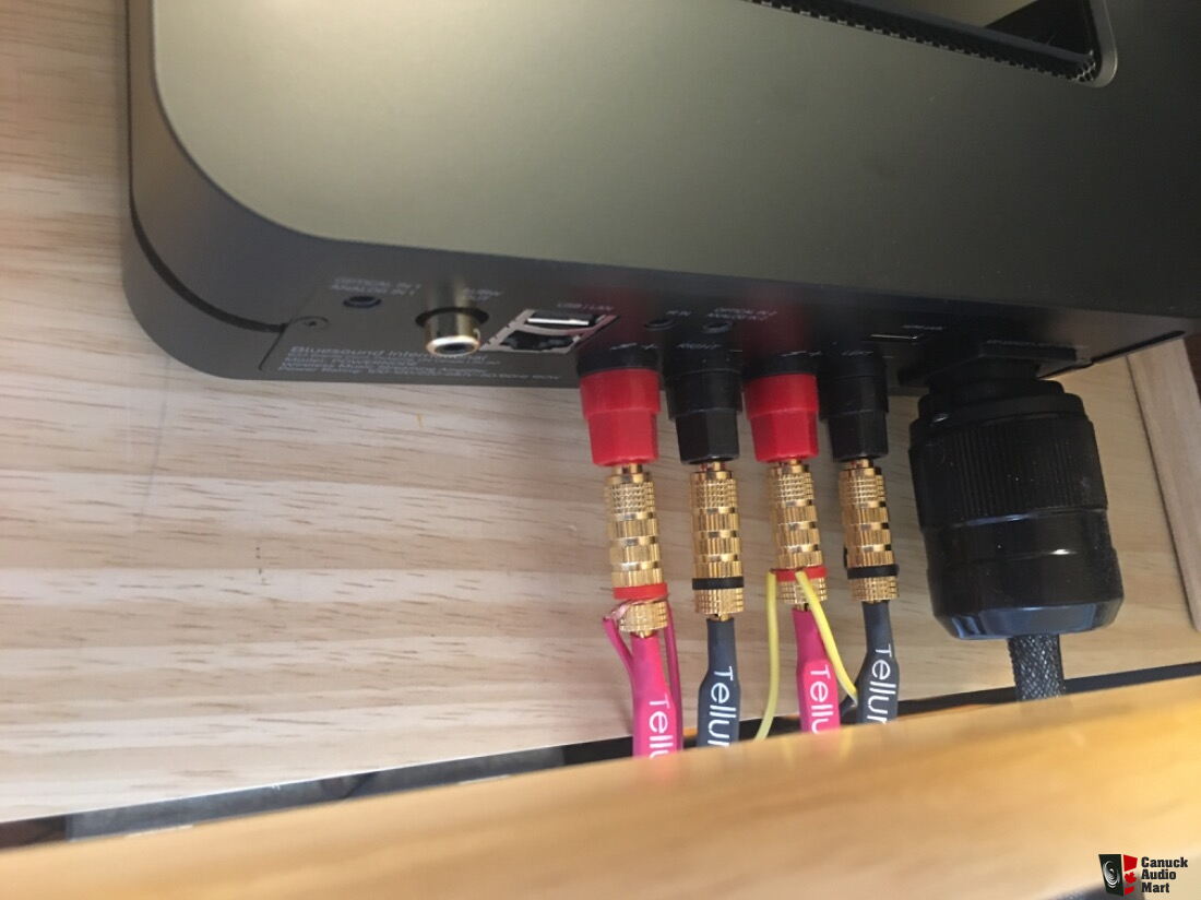 Bluesound Powernode (current version) Photo #4583082 - US Audio Mart