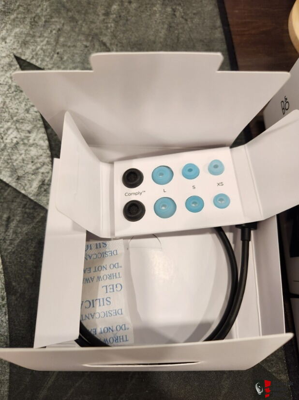 Bang & Olufsen Beoplay EX TWS Photo #4584540 - Canuck Audio Mart