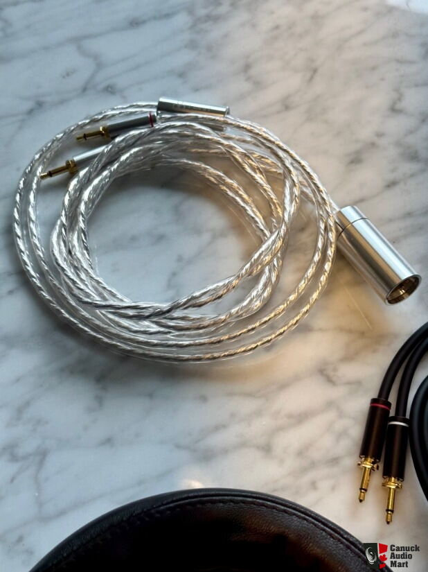 Final Audio D8000 Pro w/ Extras Photo #4585865 - Canuck Audio Mart