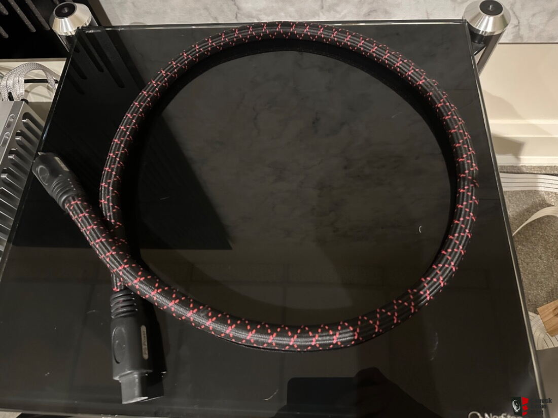 PS Audio Statement SC 1m power cable Photo #4586728 - Canuck Audio Mart