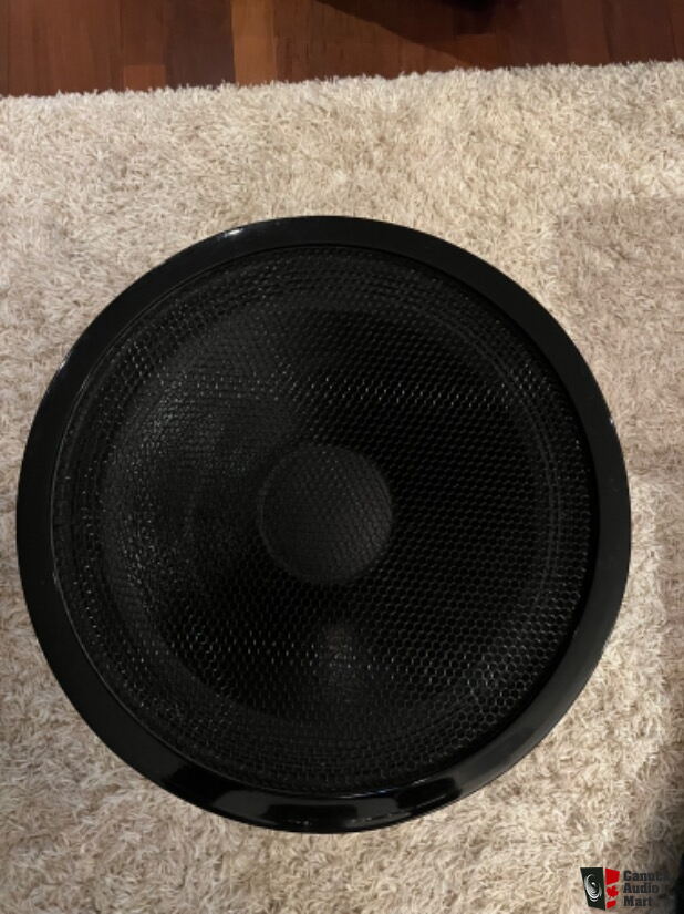 Pair of Scaena 3.2 depth charge style 18 inches subwoofers Sale pending ...