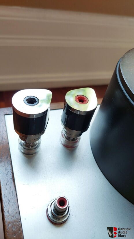 300B Monoblock JE Labs Design Photo #4594641 - Canuck Audio Mart