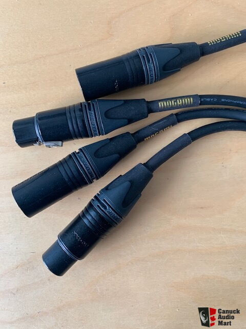 Mogami Gold Studio XLR Quad Conductor Cables 3 feet Photo #4594847 - US ...