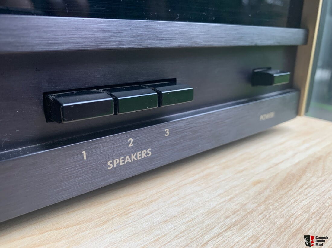 Epicure Corp, Model One /// 125wpc /// recapped power amplifier ...
