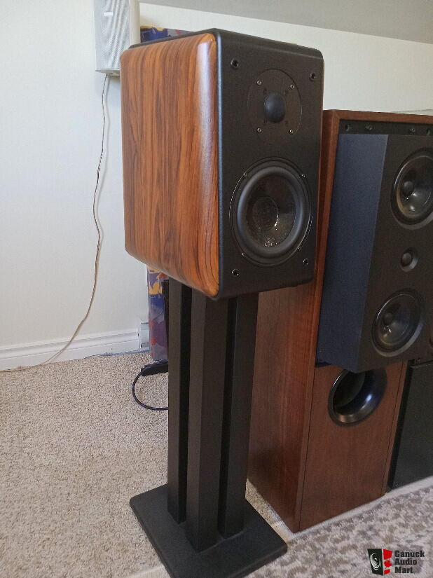 Living Sound Audio LSA 50 Signature speakers For Sale - US Audio Mart