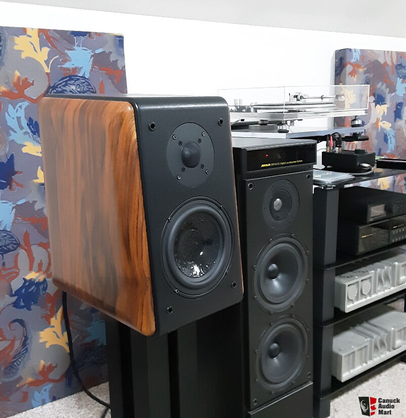 Living Sound Audio LSA 50 Signature speakers Photo #4615971 - Canuck ...