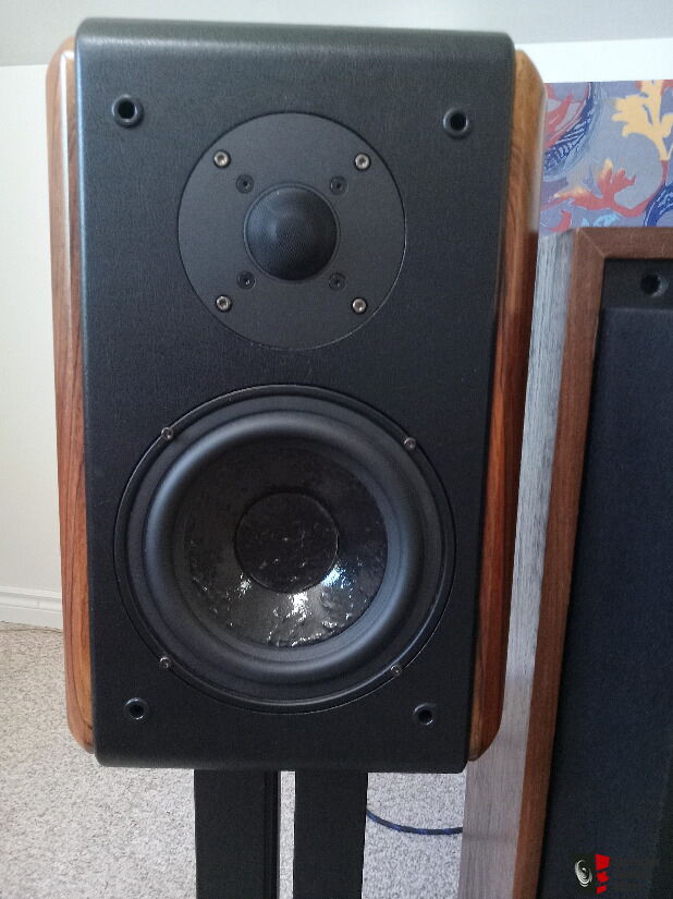 Living Sound Audio LSA 50 Signature speakers Photo #4615972 - Canuck ...