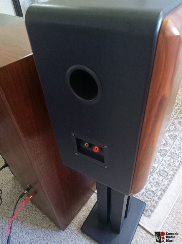 Living Sound Audio LSA 50 Signature speakers Photo #4615974 - Canuck ...
