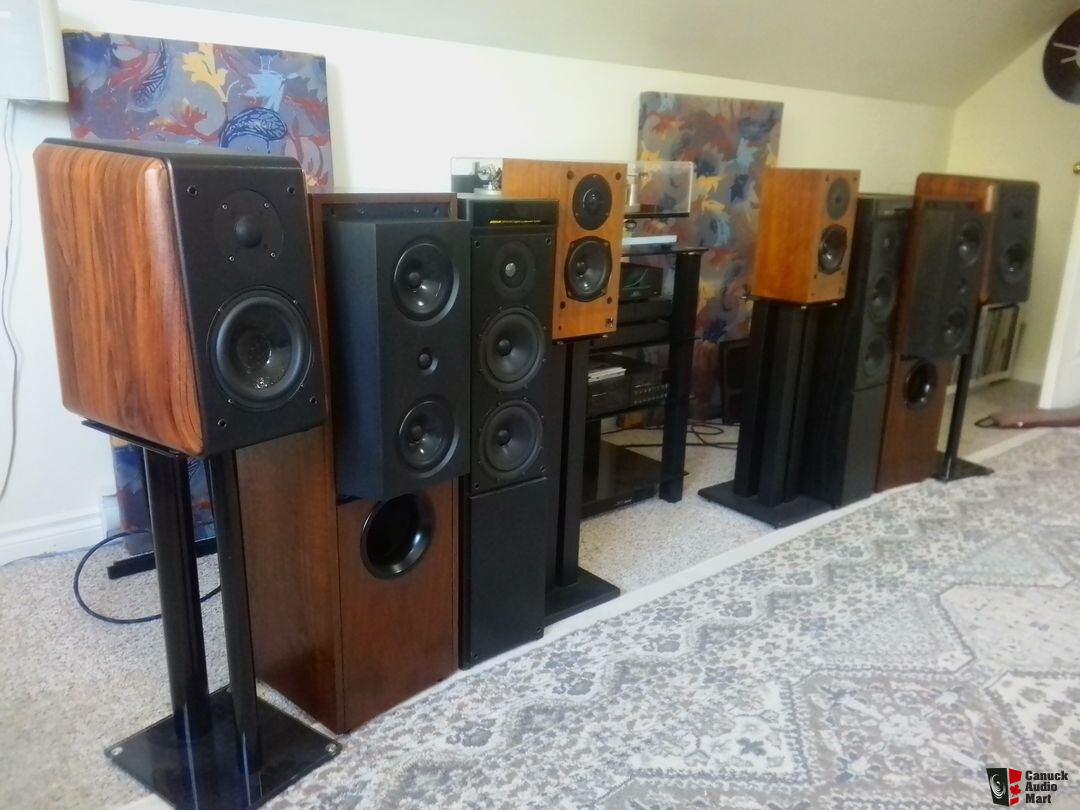 Living Sound Audio LSA 50 Signature speakers Photo #4615976 - Canuck ...