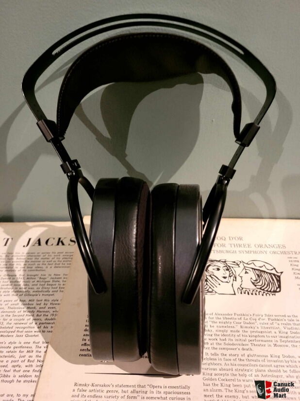 Hifiman Arya Full-Size Over Ear Planar Magnetic Audiophile Headphone ...