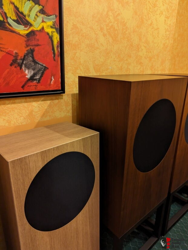 Trenner & Friedl RA speakers Photo #4619631 - Canuck Audio Mart