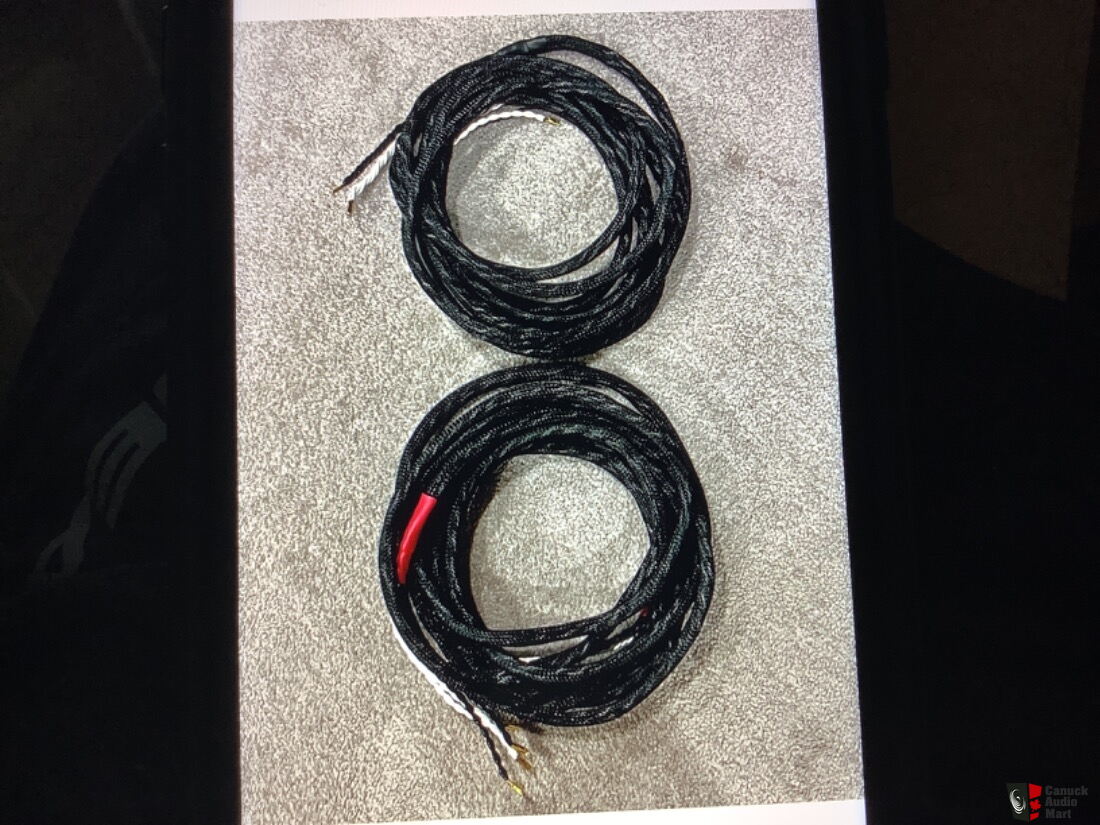 Totem speaker cables 15 foot pair For Sale - Canuck Audio Mart