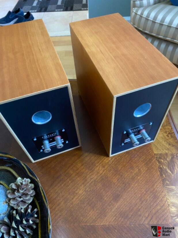 Penaudio rebel 3 Photo #4624564 - Canuck Audio Mart