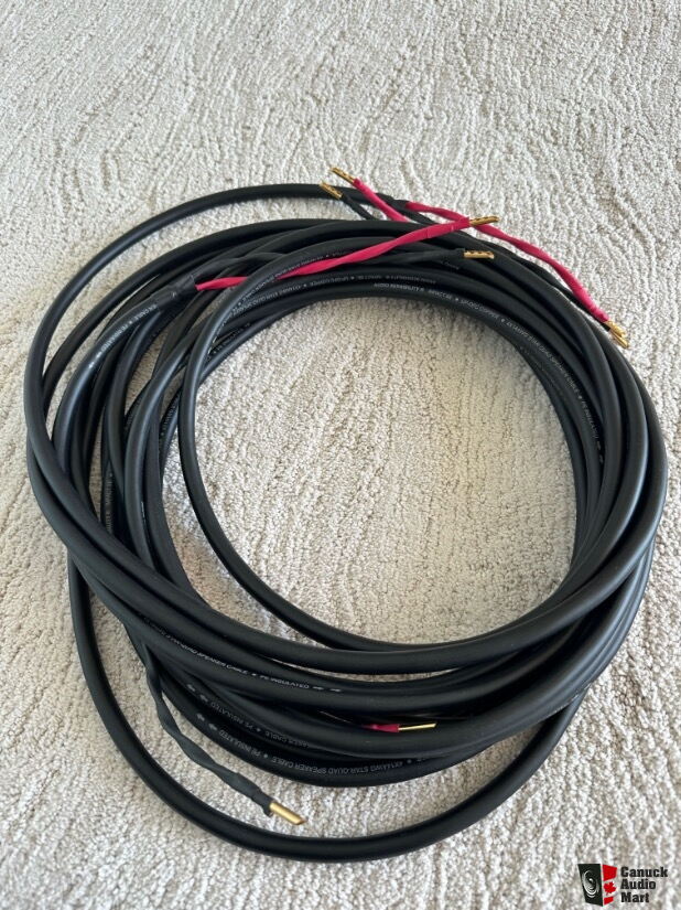 Audio Sensibility Impact SE Single-Wire Speaker Cables (pair) 6M For ...