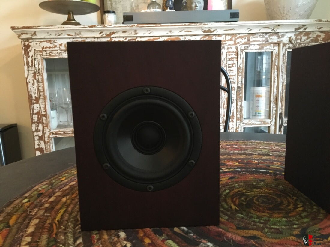 Trenner & Friedl Sun Monitors Photo #4632429 - US Audio Mart