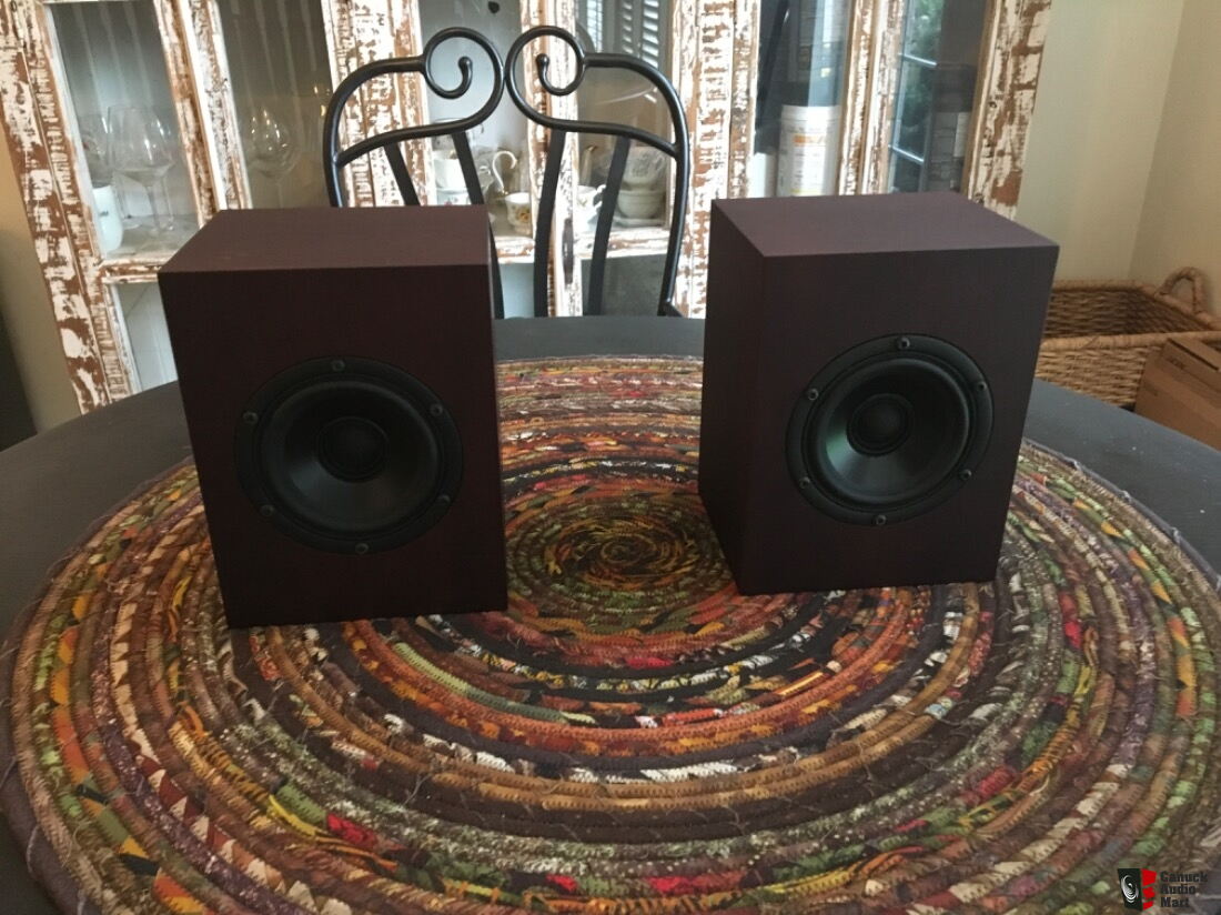 Trenner & Friedl Sun Monitors Photo #4632430 - Canuck Audio Mart