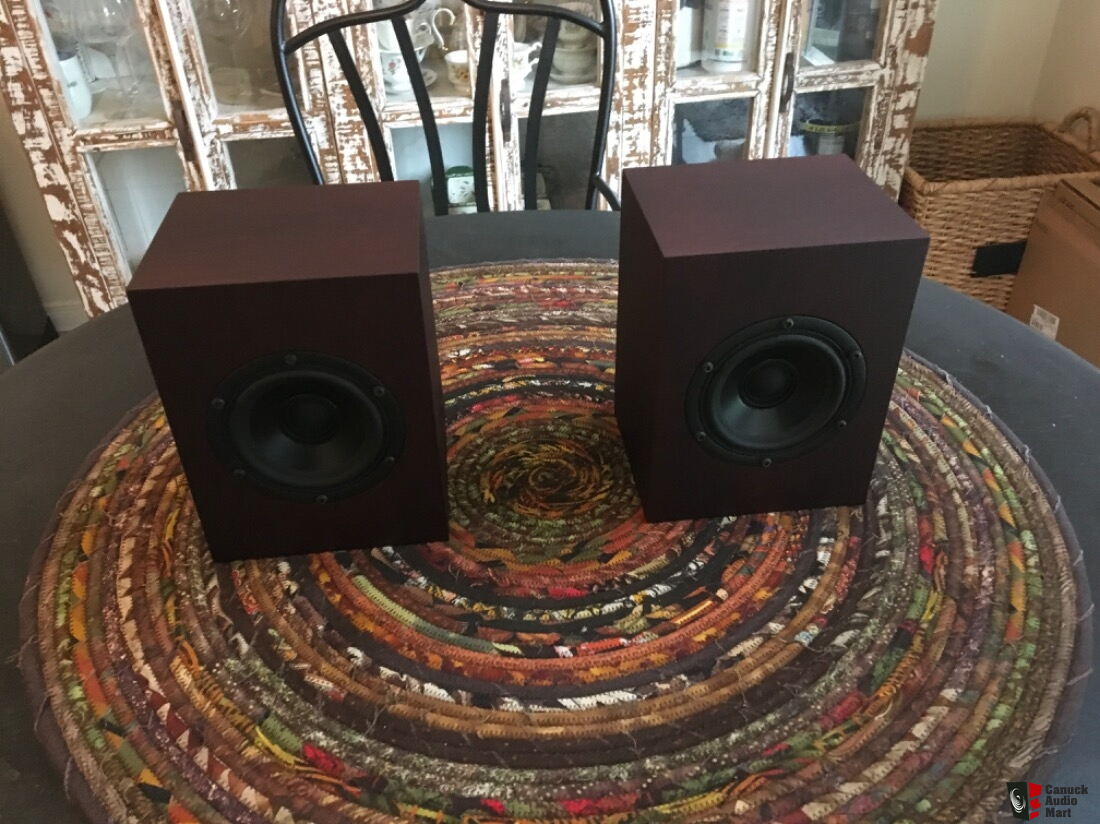 Trenner & Friedl Sun Monitors Photo #4632431 - Canuck Audio Mart