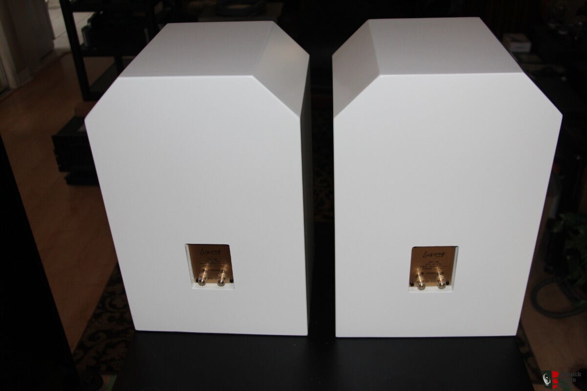 Lii Song F6 Emmo speakers (wide range single driver) Photo #4637851 ...