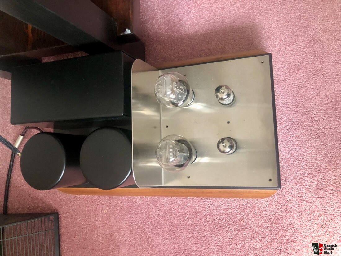 Tube Mono Blocks Photo #4639279 - Canuck Audio Mart