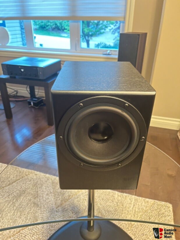 Totem Dreamcatcher Subwoofer For Sale - UK Audio Mart