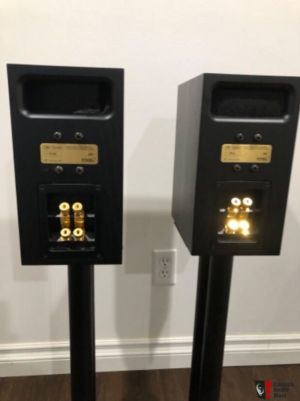 PMC DB1 Gold monitors Photo #4644201 - US Audio Mart