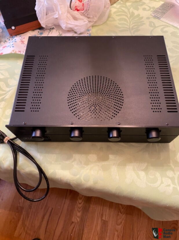 Acurus DIA100 integrated amp Photo #4644411 - US Audio Mart