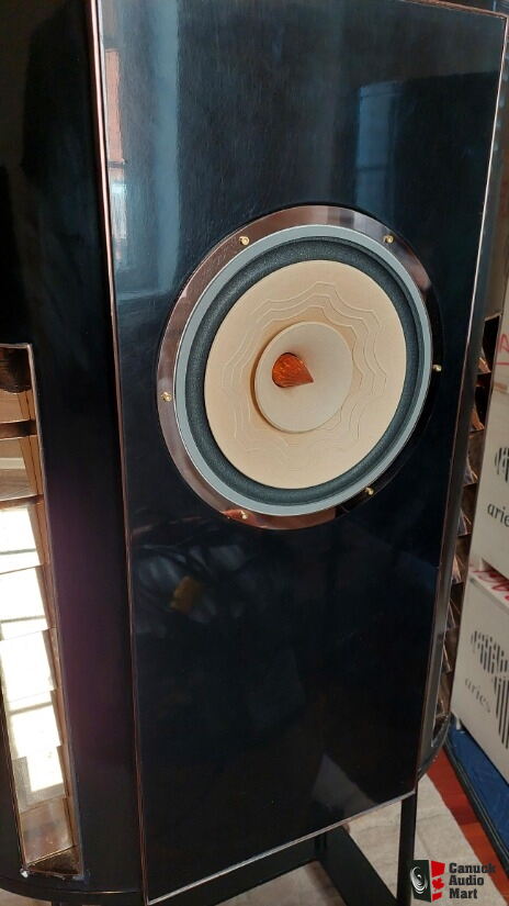 Lii Audio GLORY S-10 with Stands Photo #4645679 - Canuck Audio Mart