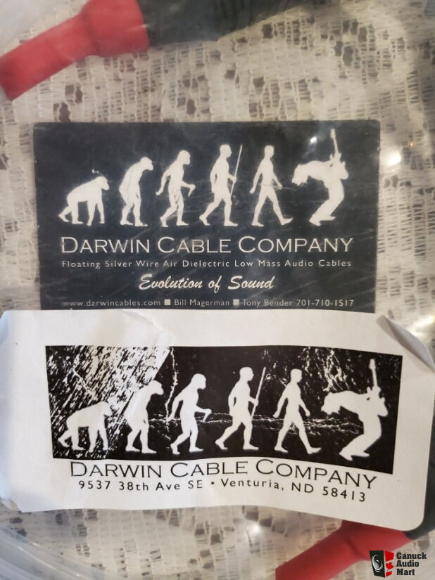 Darwin Cables Ascension 1M For Sale - US Audio Mart