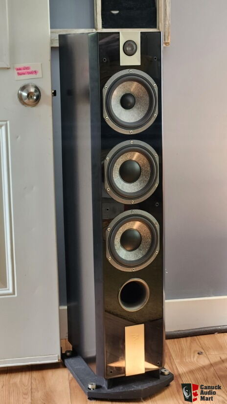 Focal Chorus 826w 30th anniversary (W-sandwich, not polyglass like ...