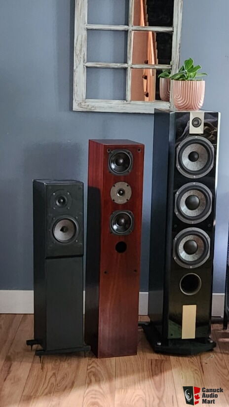Focal Chorus 826w 30th anniversary (W-sandwich, not polyglass like ...