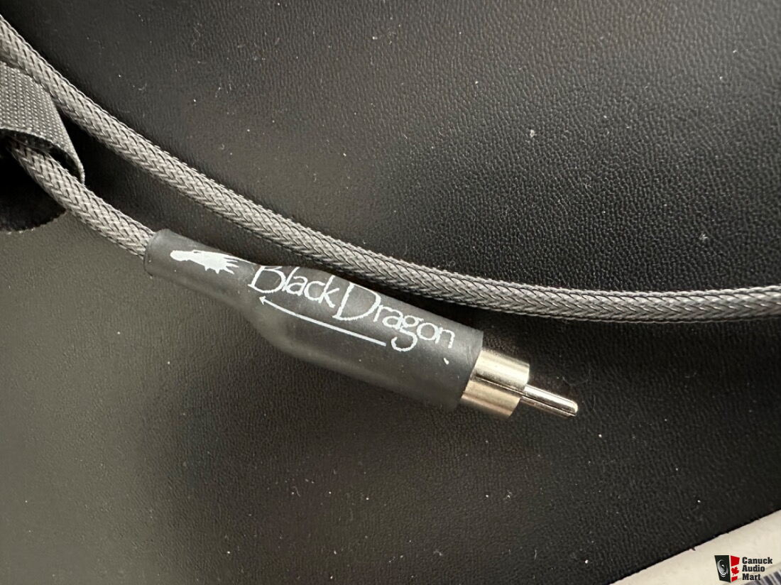 Moon Audio Black Dragon digital rca coaxial to 3.5mm digital for Hugo 2 ...