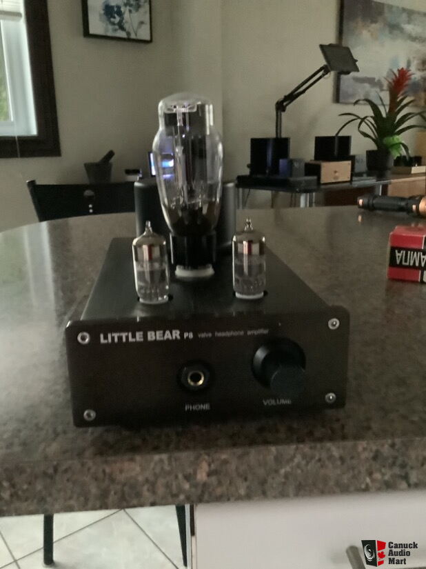 Little Bear P8 Photo #4664738 - Canuck Audio Mart