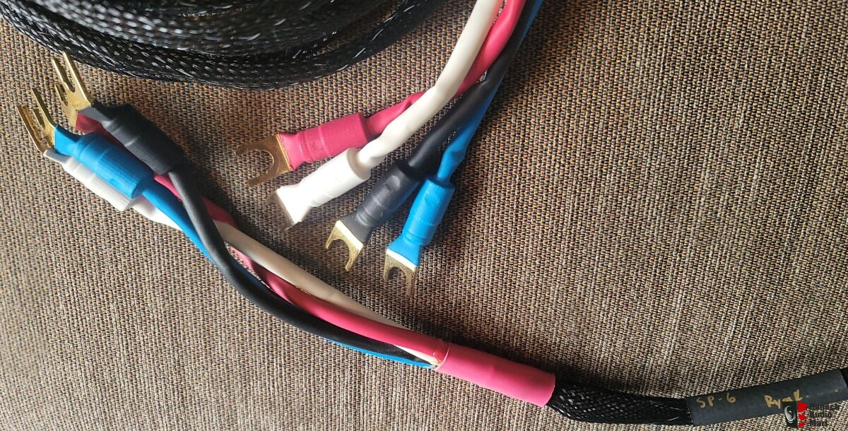 20 foot long (6-metre) pair of Morrow Audio SP6 bi-wired speaker cables ...