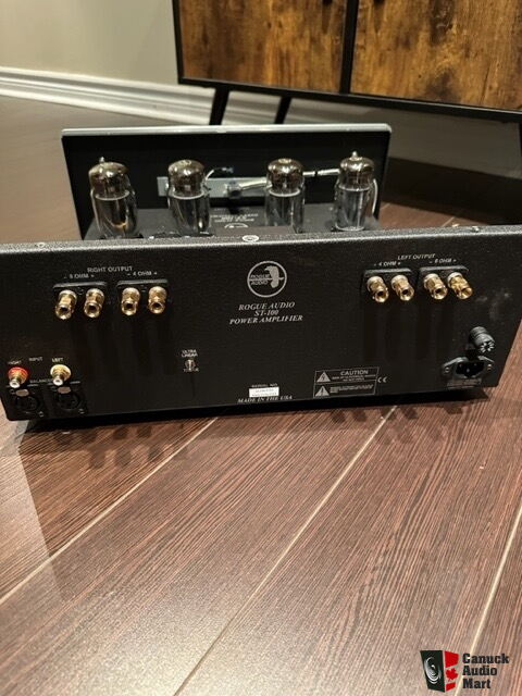 Rogue Audio Stereo 100 Photo #4666357 - US Audio Mart