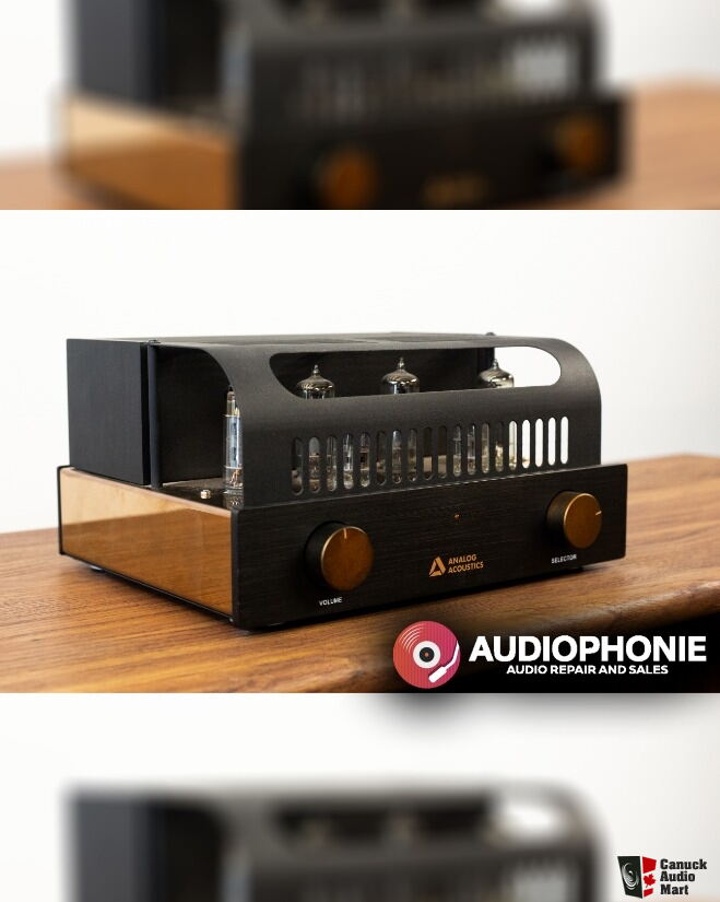 Analog Acoustic AA-001 Tube Amplifier Photo #4668616 - US Audio Mart