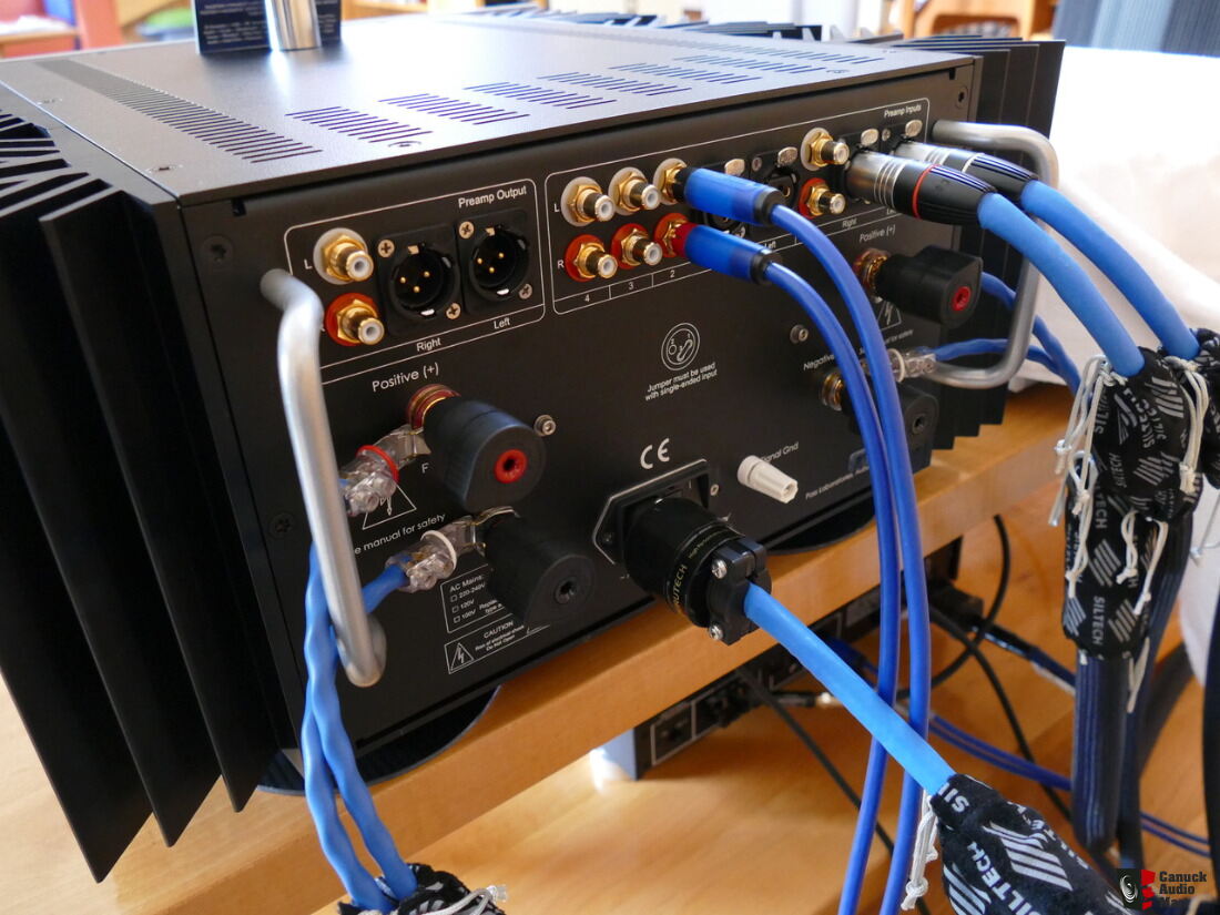 Pass Labs INT-250 Integrated Amplifier Photo #4675565 - Canuck Audio Mart