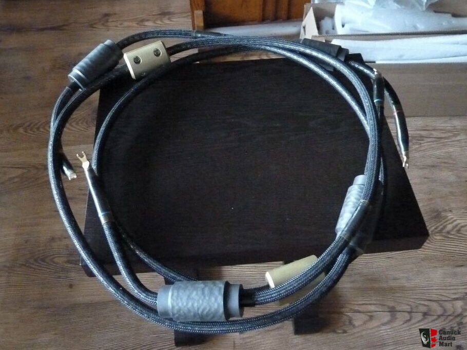 Virtual Dynamics Genesis Speaker Cables Photo #4677972 - US Audio Mart