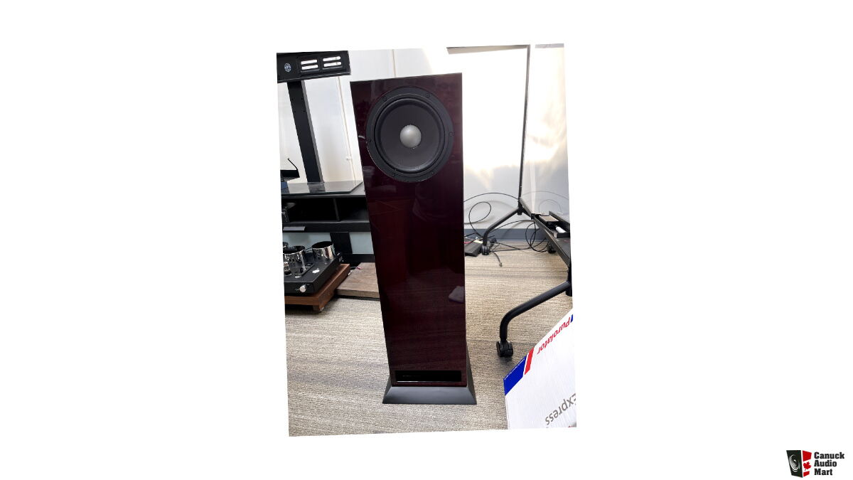 Davis Acoustics MV One Floorstanding Speakers - A Rare Audiophile Gem ...