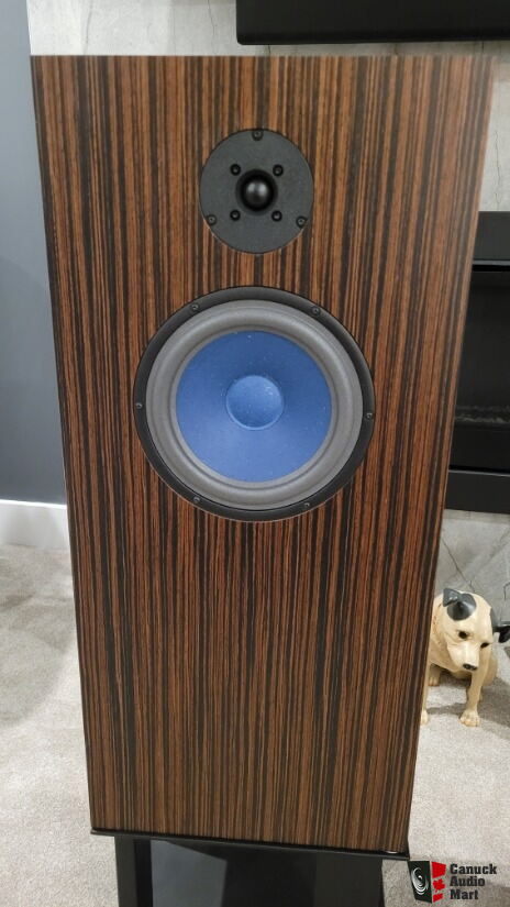Audio Note AN-E/SPe-HE Speakers Photo #4679534 - US Audio Mart