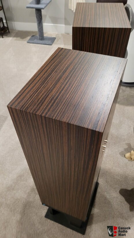 Audio Note AN-E/SPe-HE Speakers Photo #4679536 - US Audio Mart