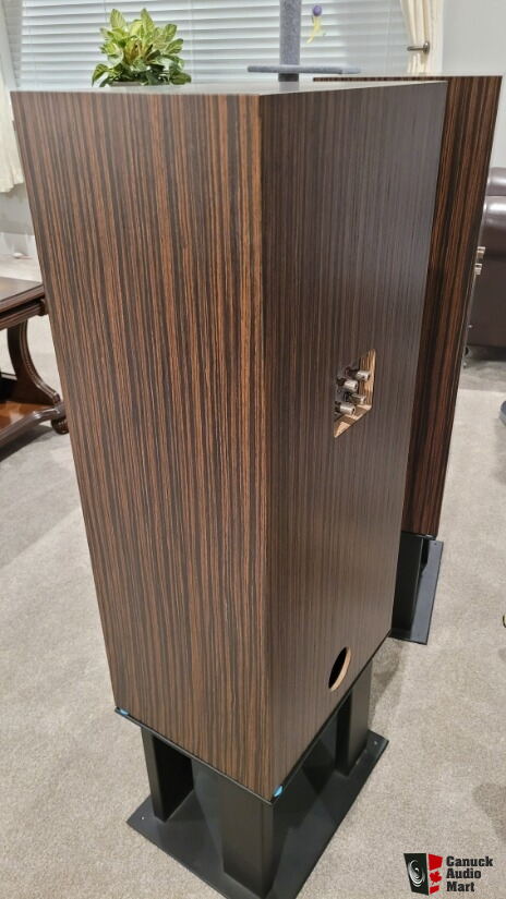 Audio Note AN-E/SPe-HE Speakers Photo #4679542 - US Audio Mart