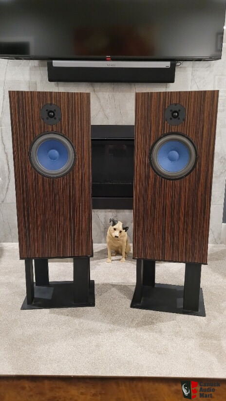 Audio Note AN-E/SPe-HE Speakers Photo #4679537 - US Audio Mart
