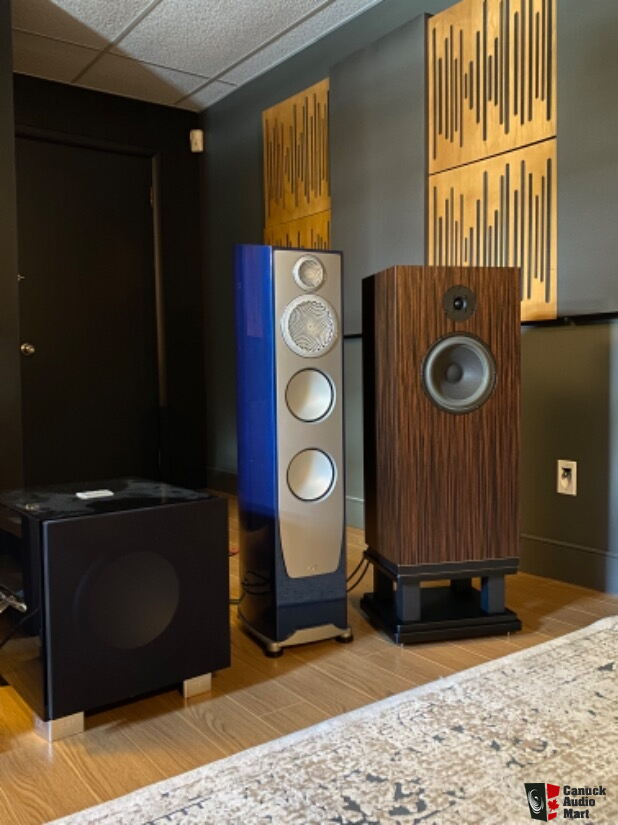 Audio Note ANe-LX in Maccasar finish Photo #4682514 - US Audio Mart