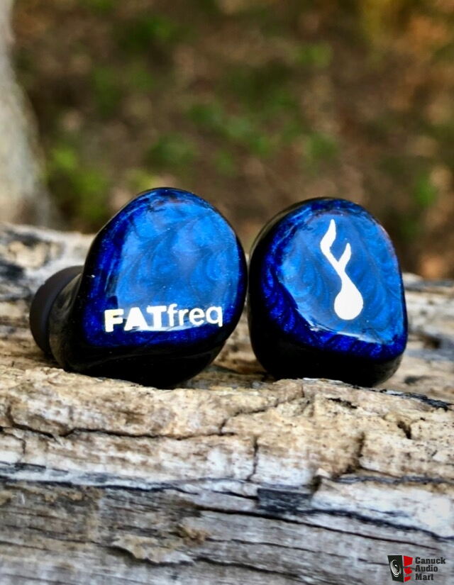 FatFreq Maestro Mini Photo #4689251 - US Audio Mart