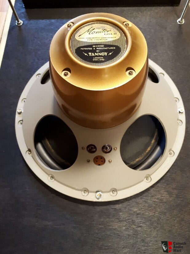 Tannoy .. Lockwood Academy2 cabinets loaded with .. 12'' Monitor Gold ...