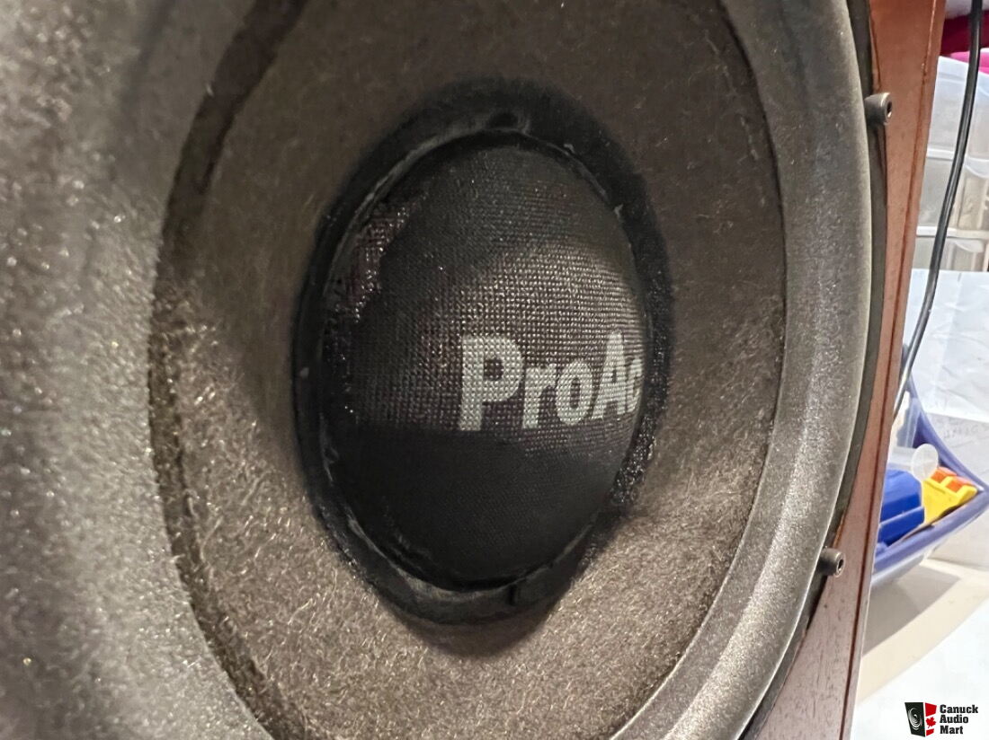 ProAc studio 100 bookshelf Photo #4695823 - US Audio Mart