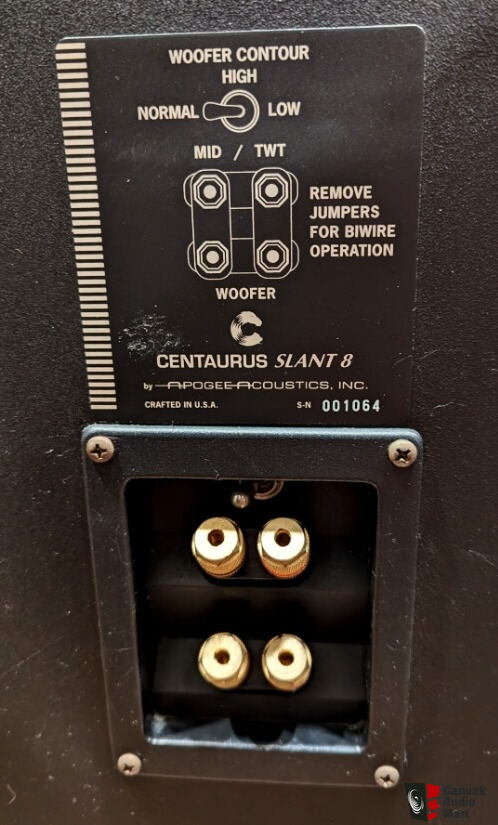 Apogee Slant 8 Centaurus ribbon hybrid speakers Photo #4695988 - Canuck ...
